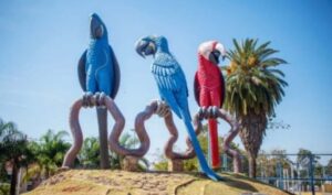 Obras de Cleir são reconhecidas no livro “Marcos e Monumentos ...