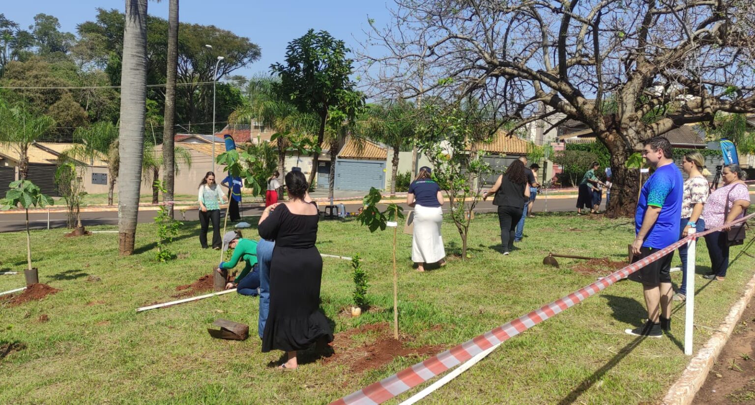 Campo Grande celebra o Dia Municipal de Proteção das araras com novos ...